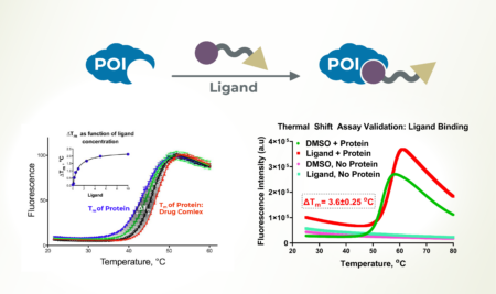 Thermal Shift Assays - LifeSensors