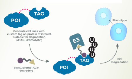 Target Exploration and Validation - LifeSensors